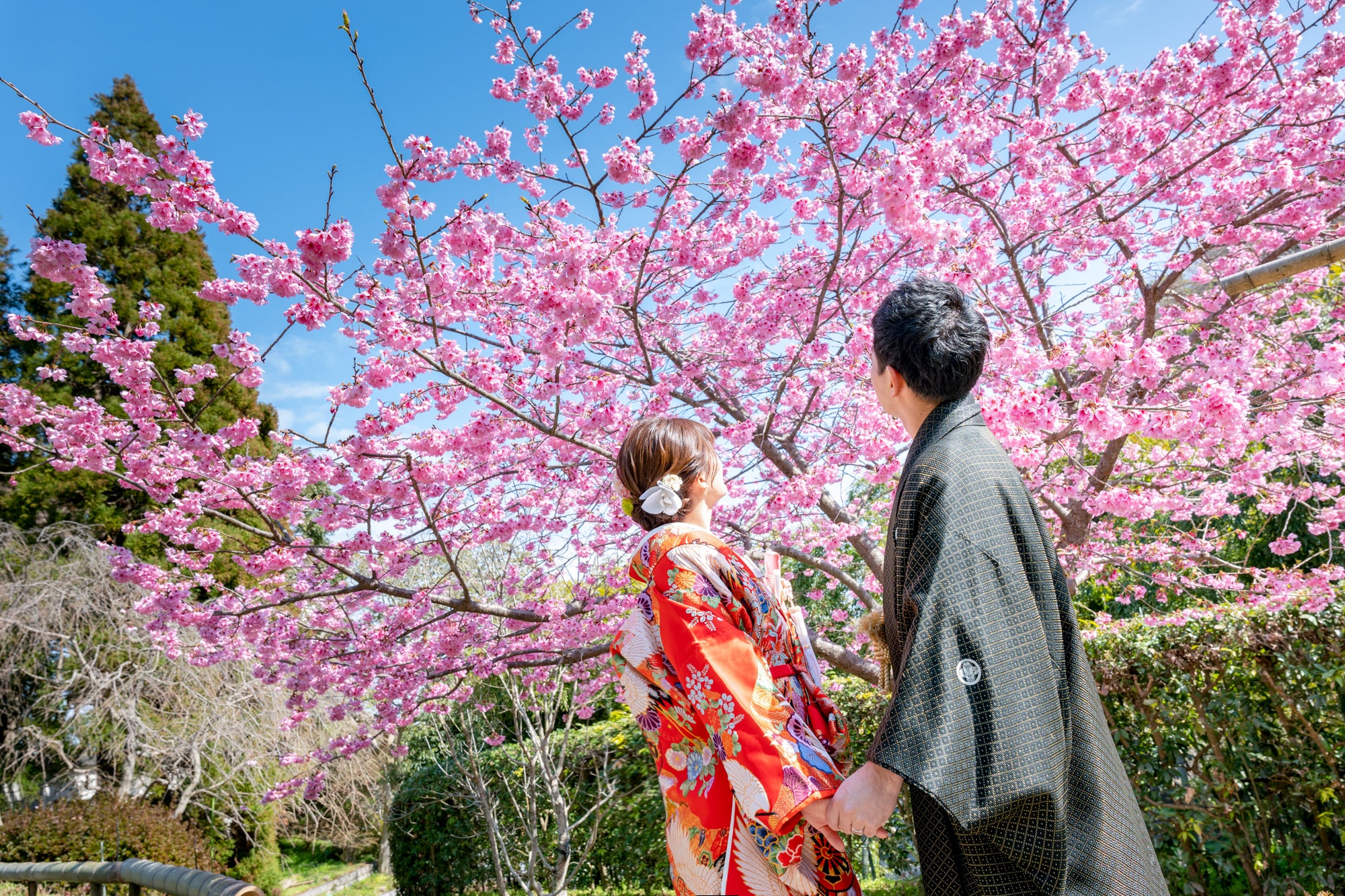 JAPAN WEDDINGS | Elopement Wedding, Pre-Wedding, Engagement in Japan