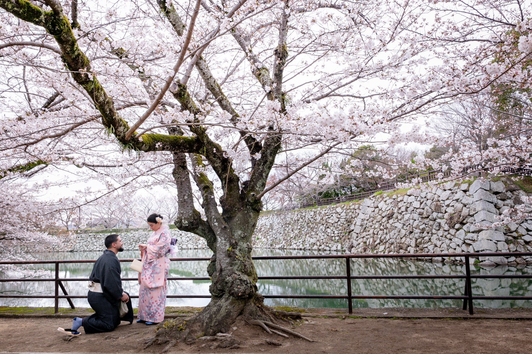 Marriage Proposal in Japan – JAPAN WEDDINGS